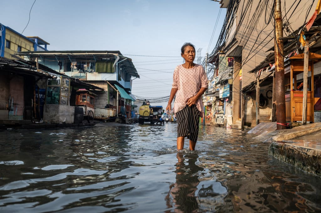 Potensi Banjir Rob Intai Pesisir Jakarta, Bagaimana Mitigasinya?