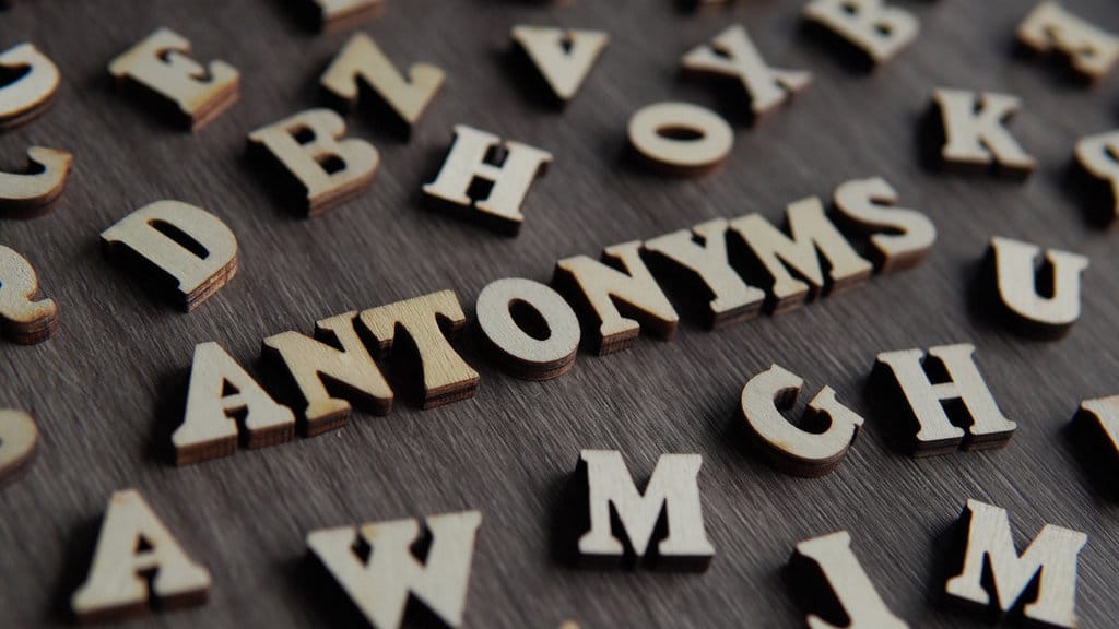 Pengertian Kata Antonim dalam Bahasa Indonesia dan Contohnya