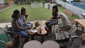 Rumah Guguk Tempat Berlabuh Pecinta Anjing