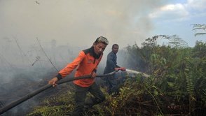Kebakaran Hutan dan Lahan di Sumatera