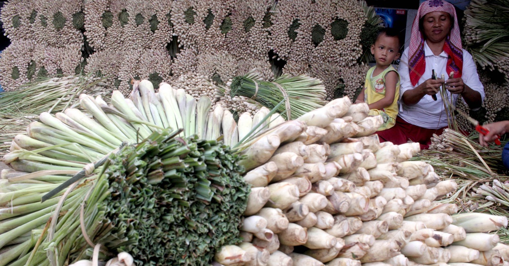 Manfaat Serai untuk Kesehatan: Dari Antioksidan Hingga Antimikroba