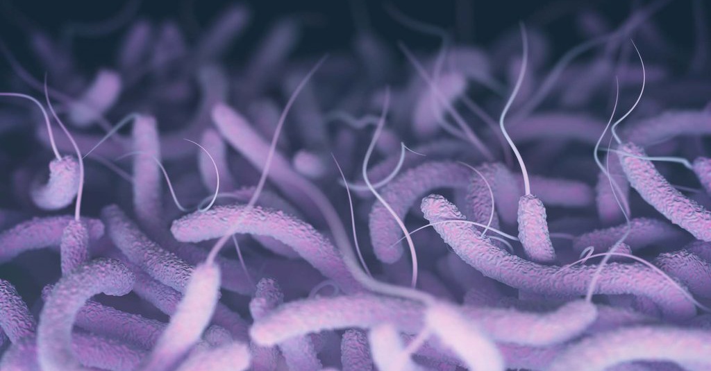 Ketahui 13 Gejala Orang Terkena Penyakit Kolera dan Penyebabnya