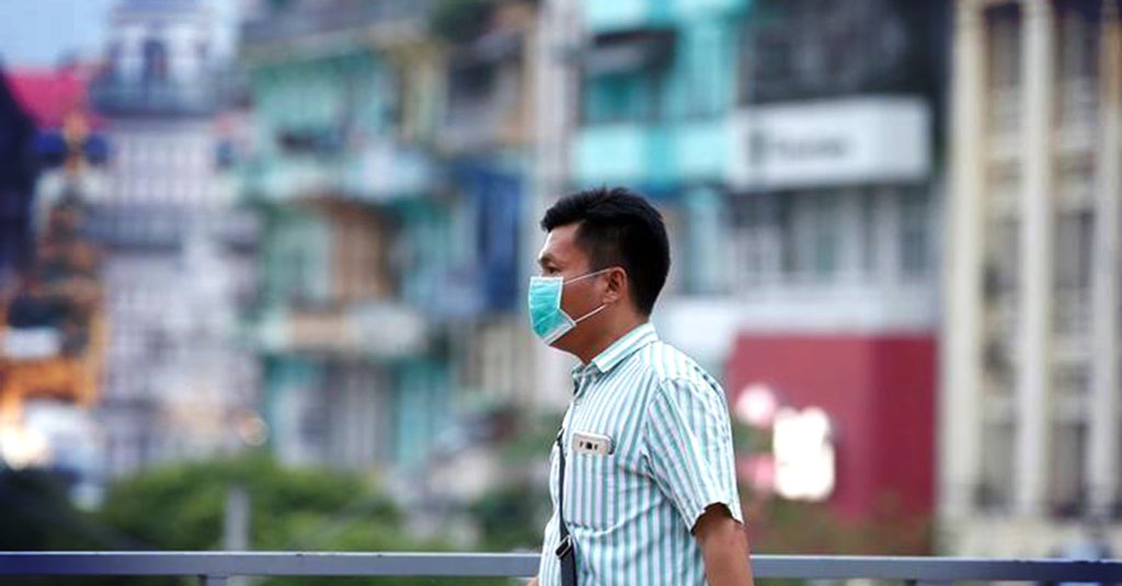 Flu Babi atau Swine Flu dan Bagaimana Penularannya pada Manusia