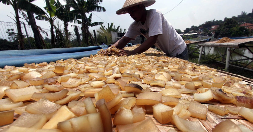 Cara Membersihkan Kulit Sapi dari Bulunya dengan Mudah