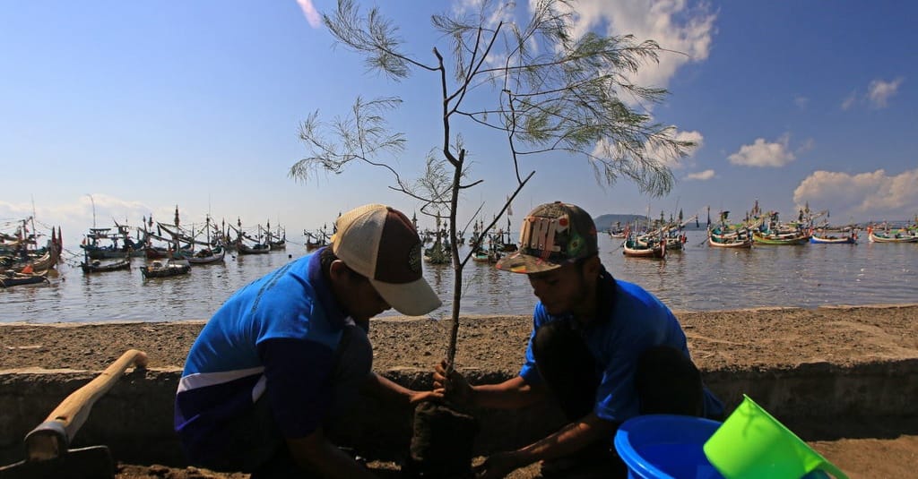 Hari Menanam Pohon Indonesia: Sejarah, Manfaat Pohon Bagi Kehidupan