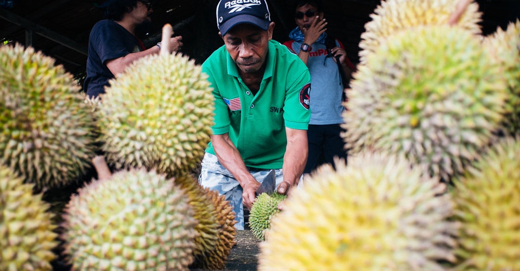 J-Queen dan Durian-Durian Termahal di Dunia