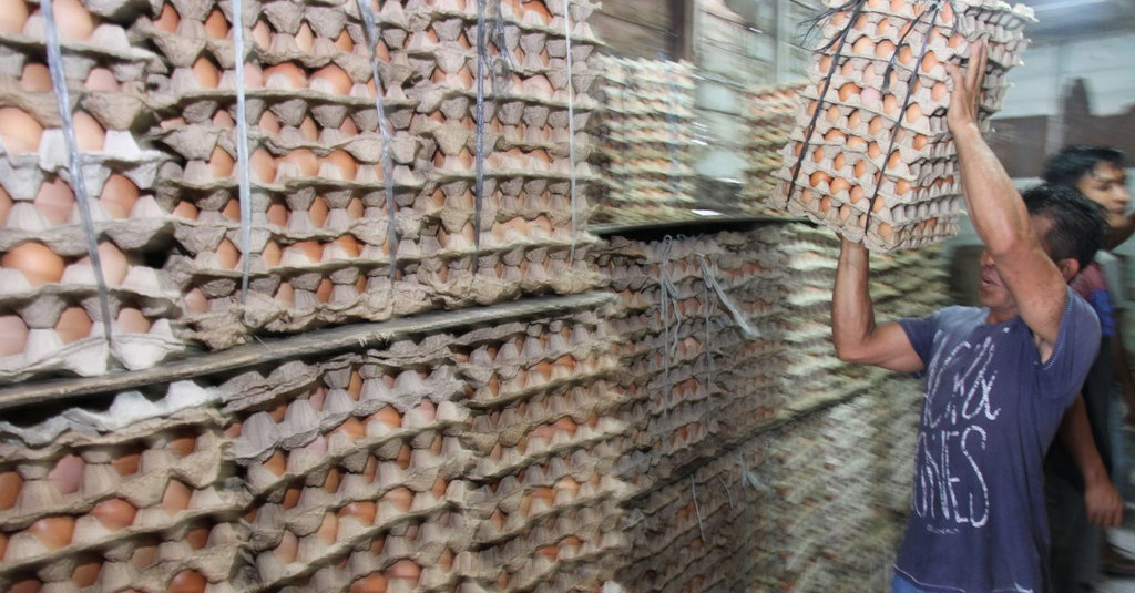 Kemendag Naikkan Batas Harga Daging & Telur, Peternak: Kami Tunggu