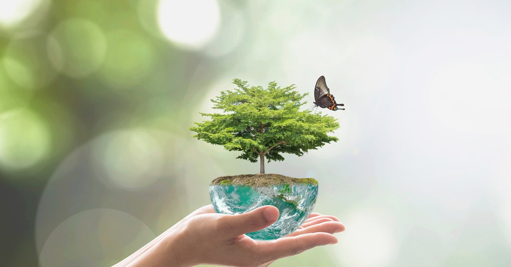 Apa Itu Go Green dan Bagaimana Cara Menerapkannya di Rumah?