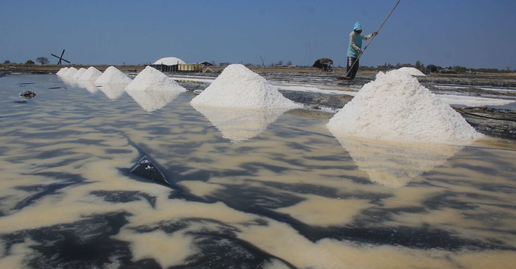 Harga Garam Anjlok, Kemenko Maritim Sebut Kualitasnya Turun