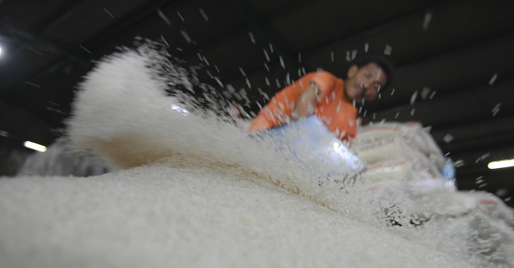 Mencari Biang Keladi Merembesnya Beras Khusus Vietnam ke Pasar