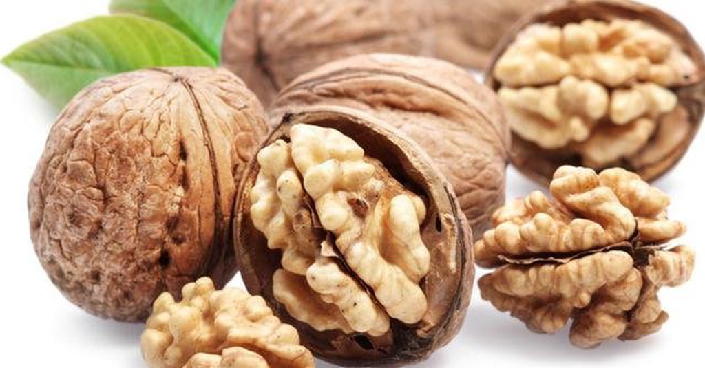 Kacang Kenari: Fungsi, Manfaat hingga Reaksi Terhadap Tubuh Manusia