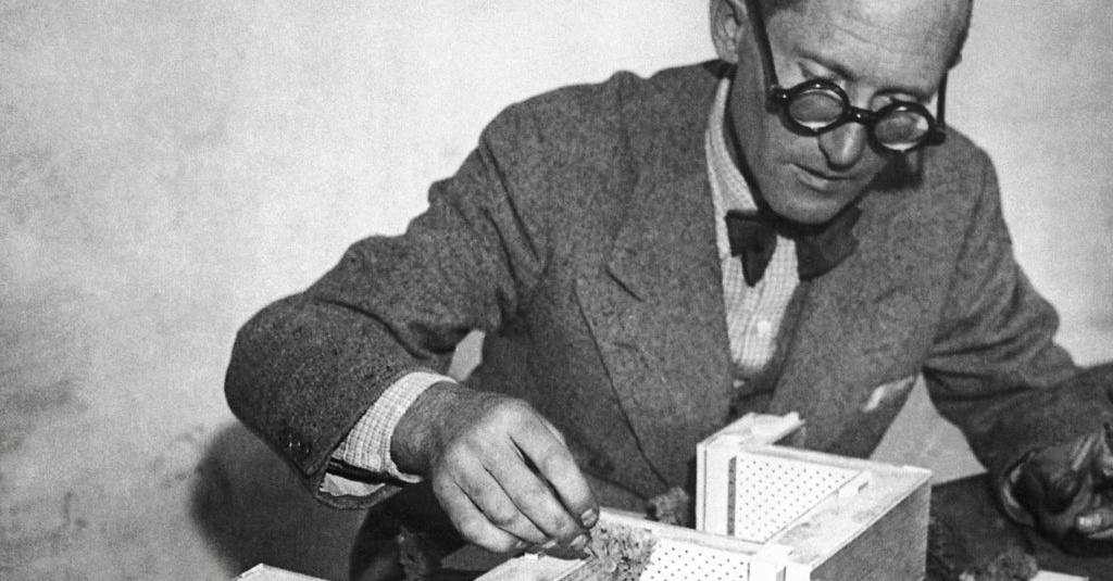 Le Corbusier: Kolaborator Rezim Fasis, Ikon Arsitek Modern