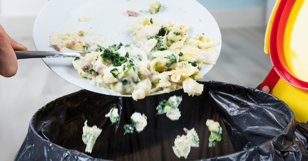 Contoh Sampah Organik, Jenis, dan Pemanfaatannya