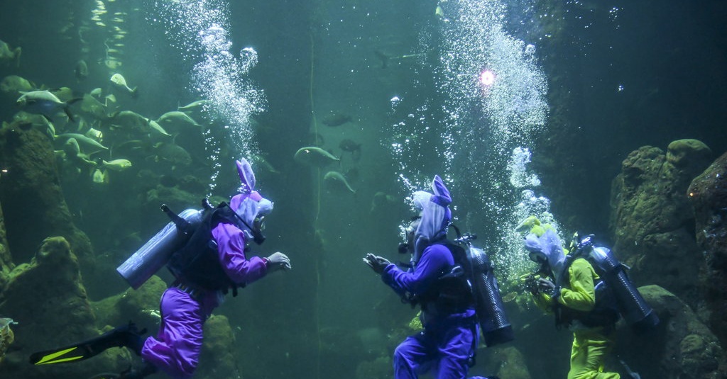 Link Download Poster Hari Laut Sedunia 8 Juni 2021 World Ocean Day