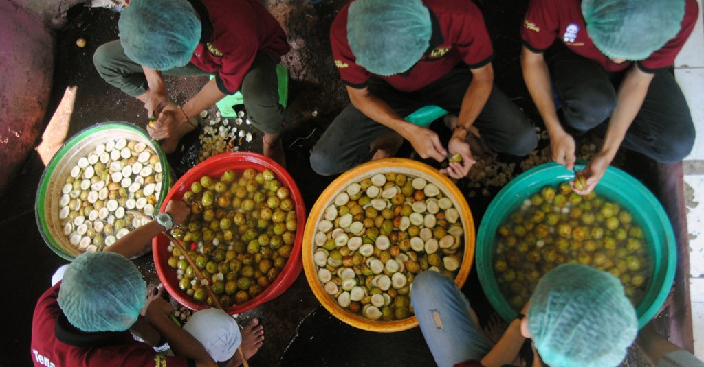 Ketahui Daftar Manfaat Buah Pala dan Apa Saja Kandungan Gizinya?
