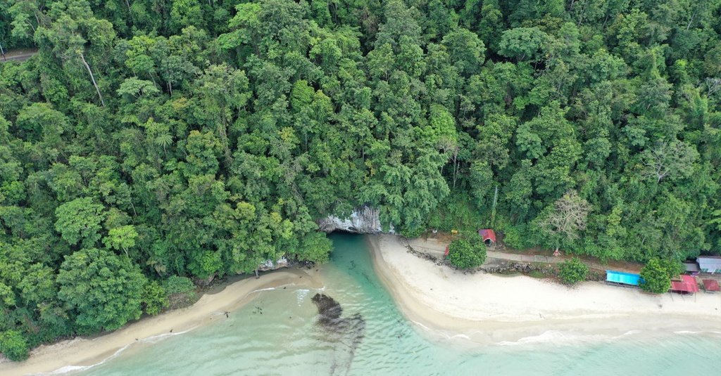 Dinamika Perairan Darat: Sungai, Daerah Aliran Sungai, Danau & Rawa