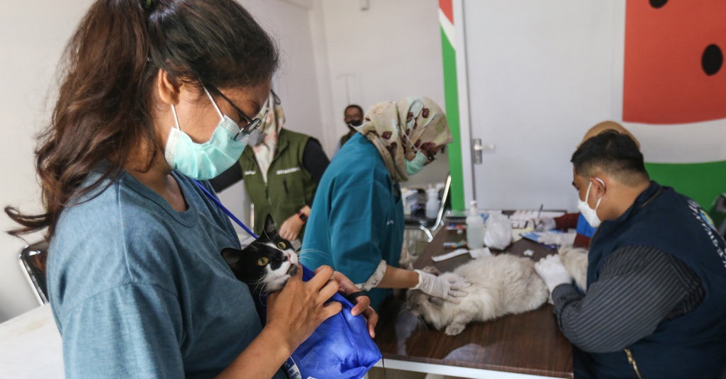 Apa Efek Rabies pada Manusia dan Kenali Gejala-Gejalanya