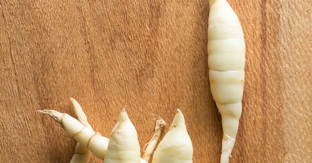 Mengenal Umbi Garut: Alternatif Pangan hingga Kosmetik