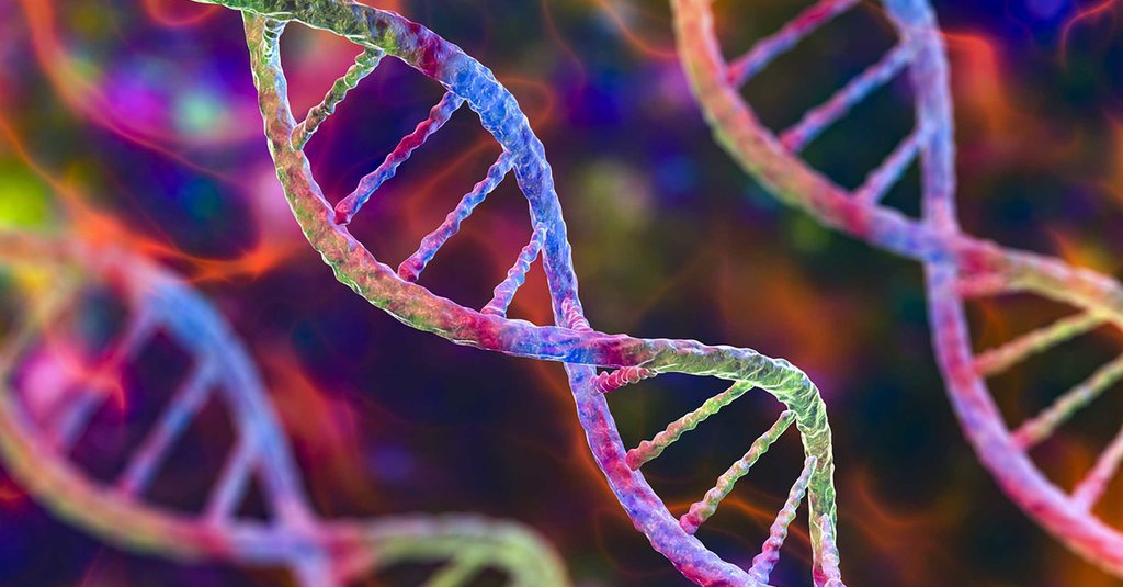 Perbedaan DNA, RNA, dan Kromosom: Fungsi, Letak, dan Kadar