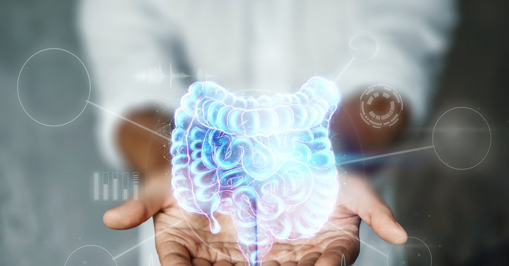 Fungsi Usus Halus dan Cara Kerjanya dalam Sistem Pencernaan