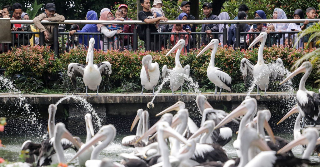 Harga Tiket Ragunan, Jadwal Buka Libur Lebaran 2023, Cara Masuk