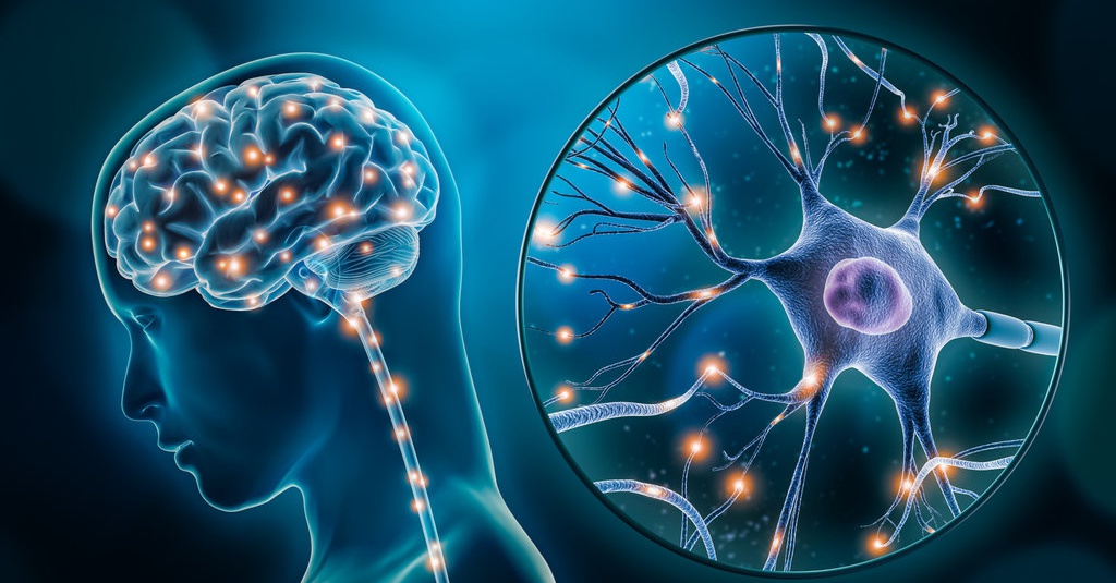 Apa Penyebab Mati Batang Otak dan Bagaimana Pengobatannya?