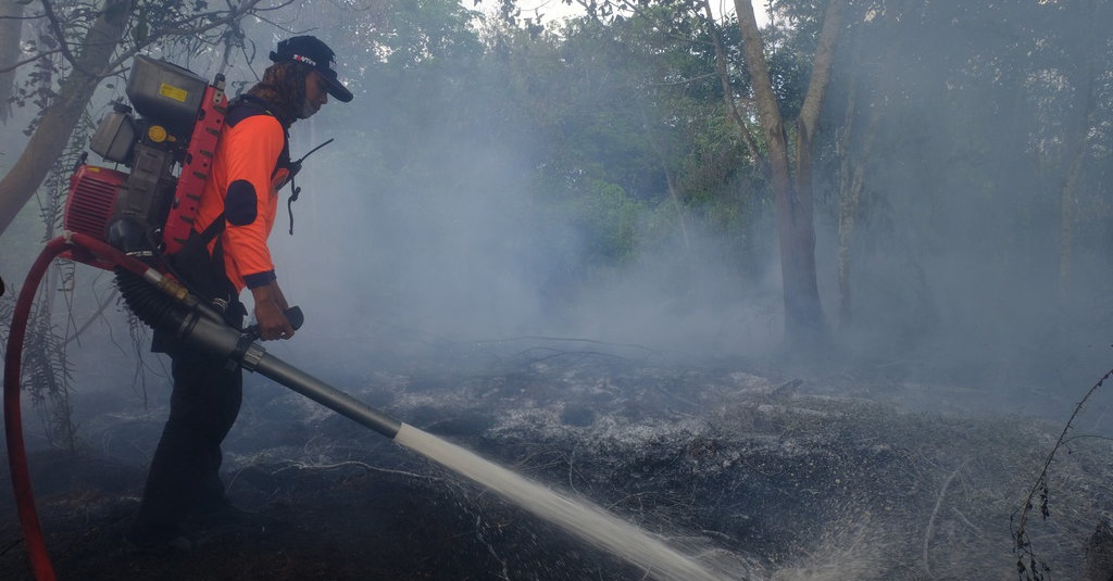 Daftar Kebakaran Hutan di Kalimantan & Sumatera Selama September