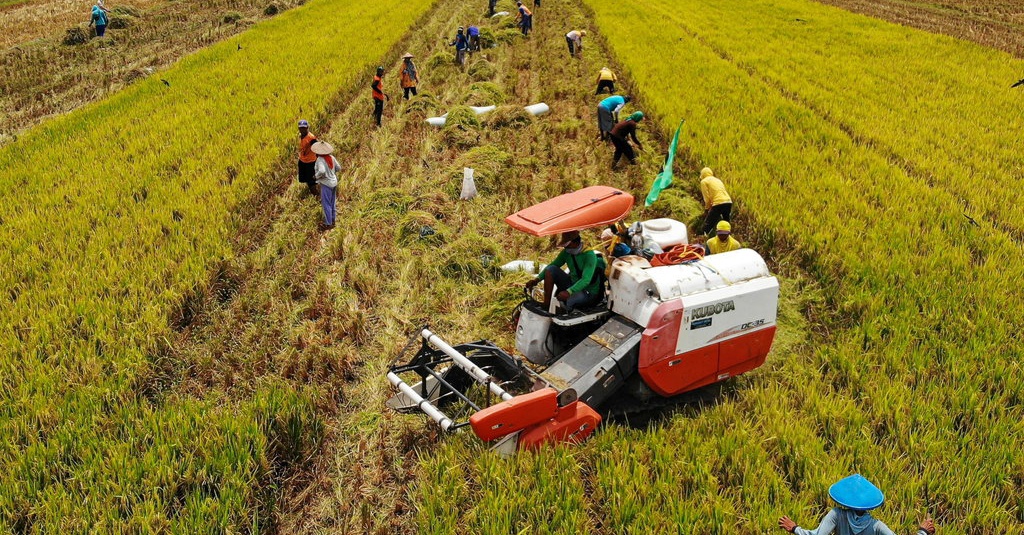 Seberapa Mampu Indonesia Mencapai Swasembada Pangan di 2026?