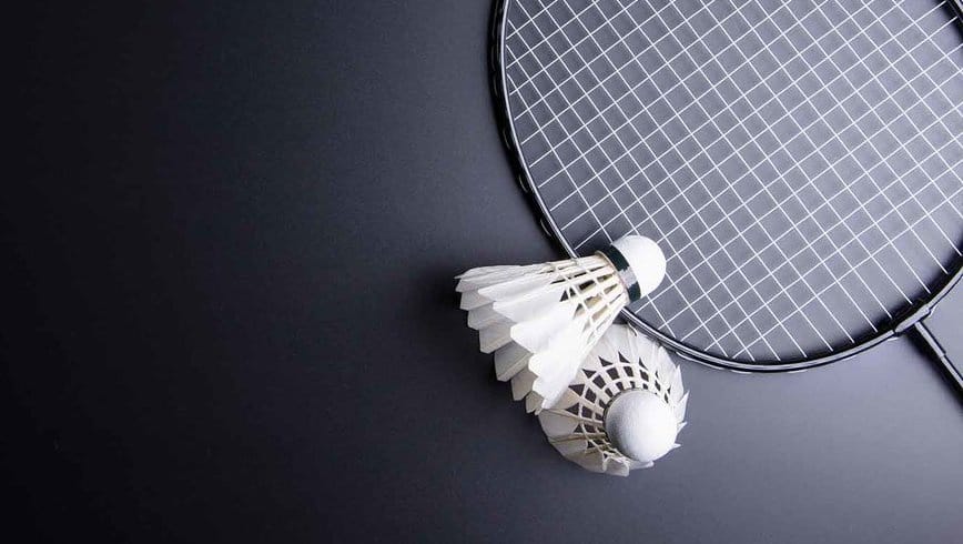 Gambar Raket & Kok Bulu Tangkis, Aturan, serta Ukuran Resmi BWF