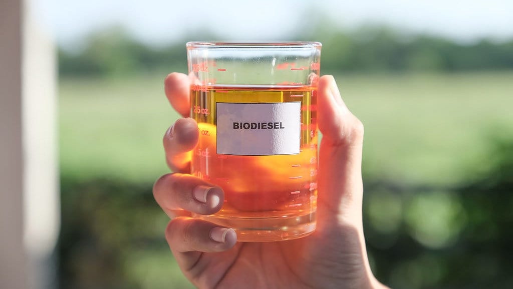 Pengertian Biodiesel, Jenis, Manfaat, dan Contohnya