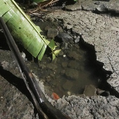 Sejarah Hayam Wuruk dan Fakta Masa Kejayaan Kerajaan Majapahit