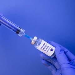 10 Contoh Serealia Beserta Manfaat dan Hasil Pengolahannya