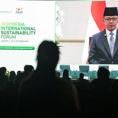 Sinopsis Serial Saudade, Daftar Pemain, Jadwal & Link Nonton