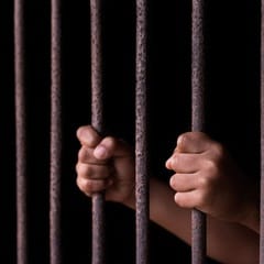 10 Obat Digigit Tawon Alami & Tradisional Atasi Sengatan Lebah