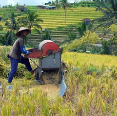 Siapa Founder Malaka Project, Profil, & Bergerak di Bidang Apa?