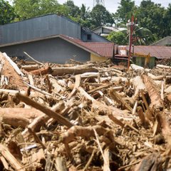 10 Contoh Serealia Beserta Manfaat dan Hasil Pengolahannya