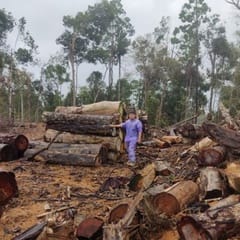 Siapa Soebandrio dan Apa Kesaksiannya tentang G30S 1965?