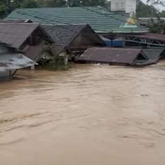 Sejarah Penemuan Virus oleh Adolf Meyer hingga Dimitri Ivanowsky