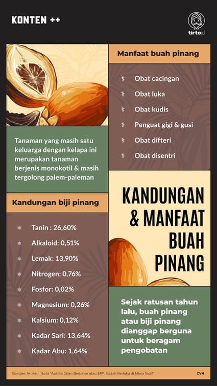 Pohon Pinang Nama Latin
