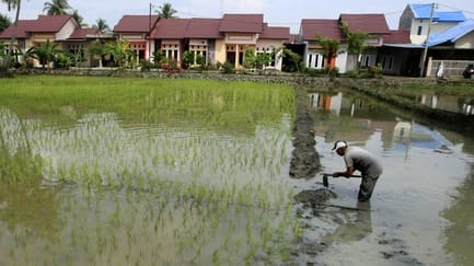 Contoh Dialek, Pengertian, dan Penggunaannya di Masyarakat