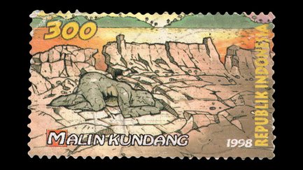 Profil Bobby Rasyidin Dirut KAI Baru: Biodata & Jejak Kariernya