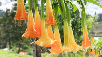 Contoh Gaya Sentuh dan Tak Sentuh, Pengertian, serta Rumusnya