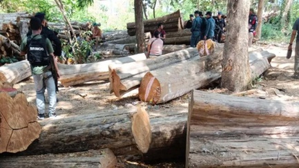 12 Manfaat Timah dan Kegunaannya dalam Aspek Kehidupan