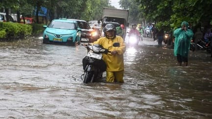 Apa Itu Cereulide di Sufor Nestle yang Sebabkan Produk Ditarik?
