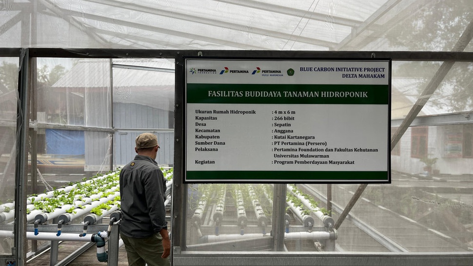 Pertamina Foundation Jaga Lingkungan Lewat Program Hutan Lestari