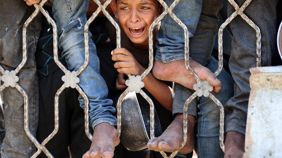 Skala Krisis, Jumlah Korban, Dampak Kelaparan di Gaza Palestina