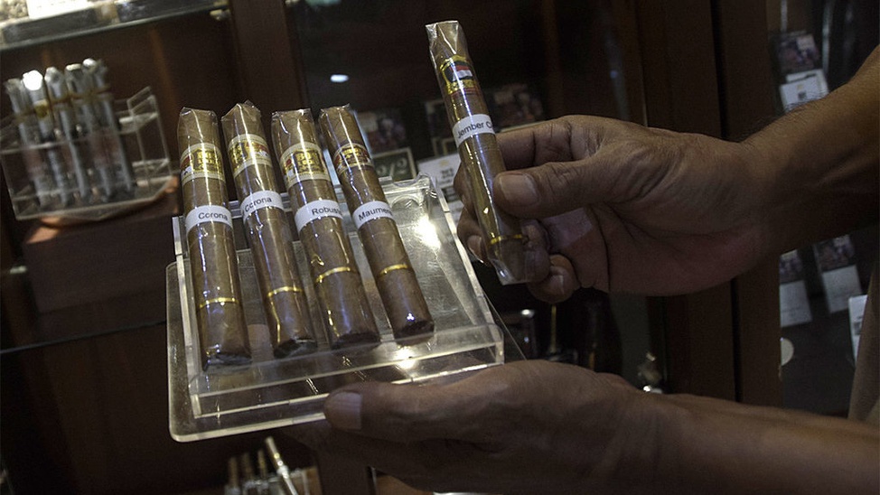 Produksi Cerutu Havana di Jember - Foto Tirto.ID