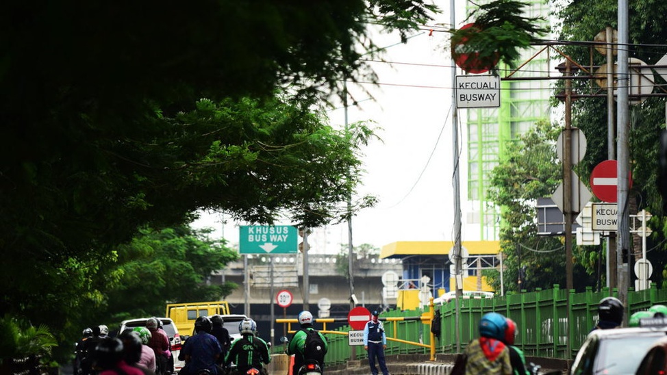 Rambu-rambu dan Papan Penunjuk Arah Tertutup Ranting Pohon