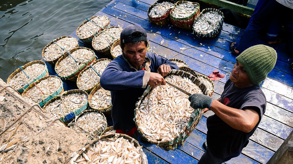 Tangkapan Ikan Beseng-beseng Melimpah - Foto Tirto.ID