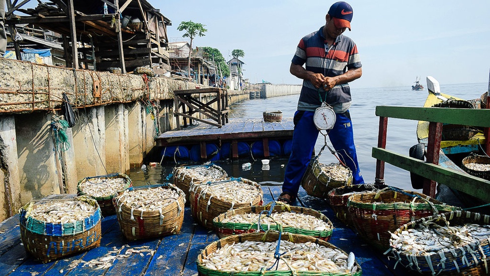 Tangkapan Ikan Beseng-beseng Melimpah - Foto Tirto.ID